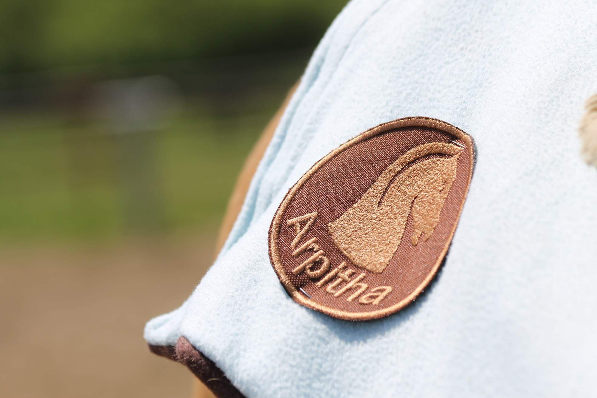 PŘÍMĚŠŤÁKY | Arpitha